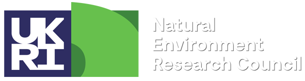 Our Services – CCAP