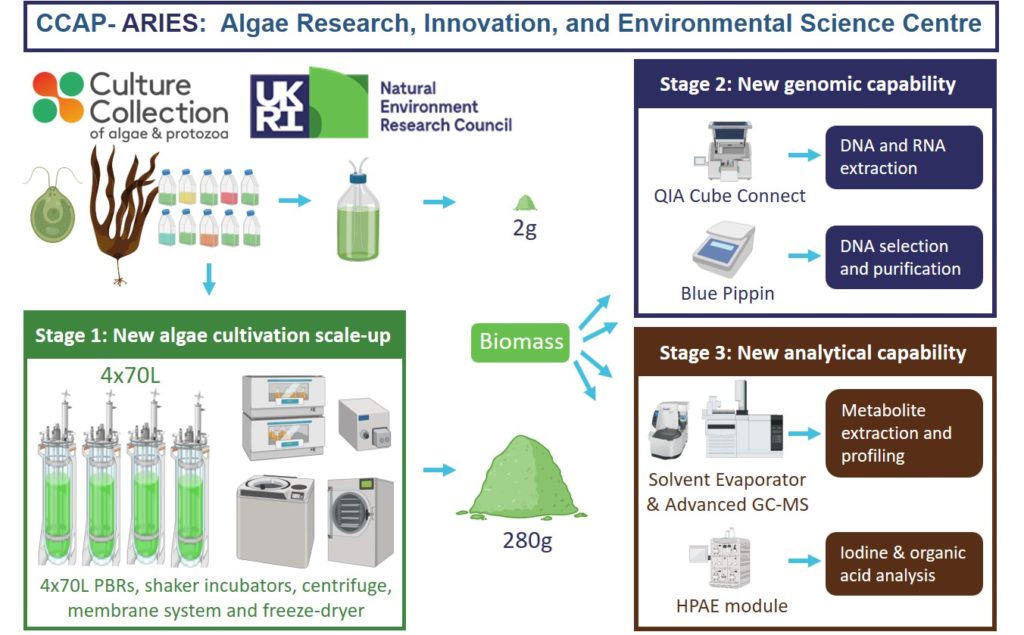 CCAP – ARIES – CCAP